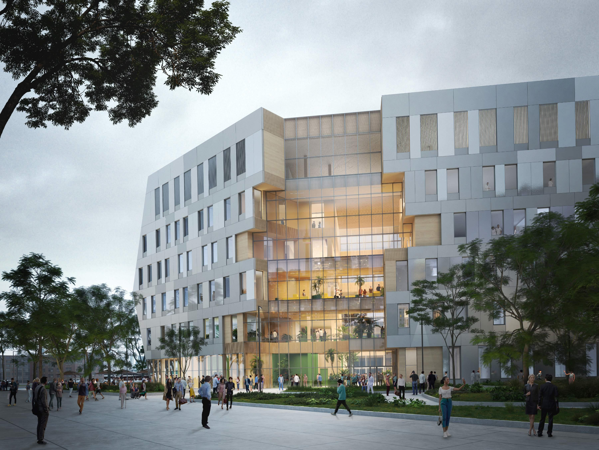Scarborough Academy of Medicine and Integrated Health (SAMIH ...
